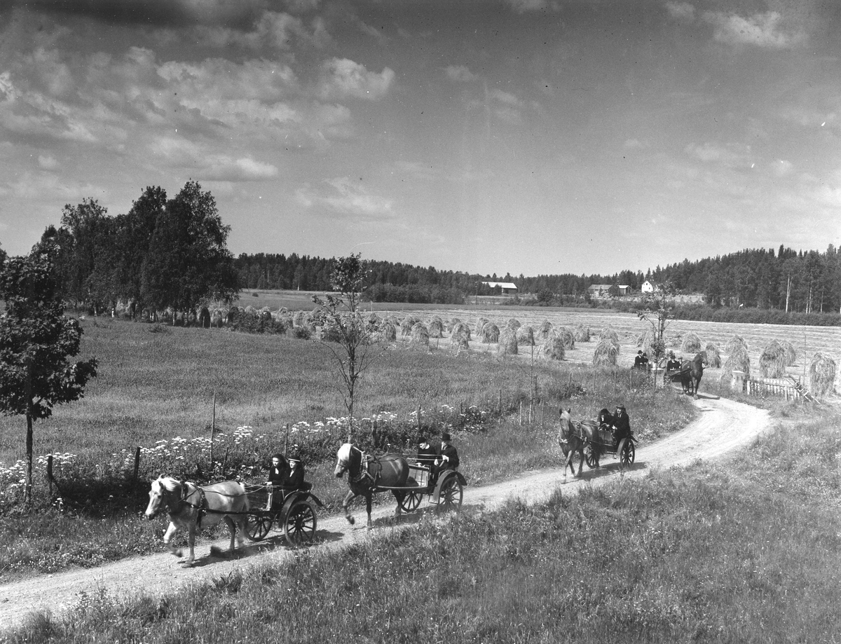 Historia :: Forsbacka